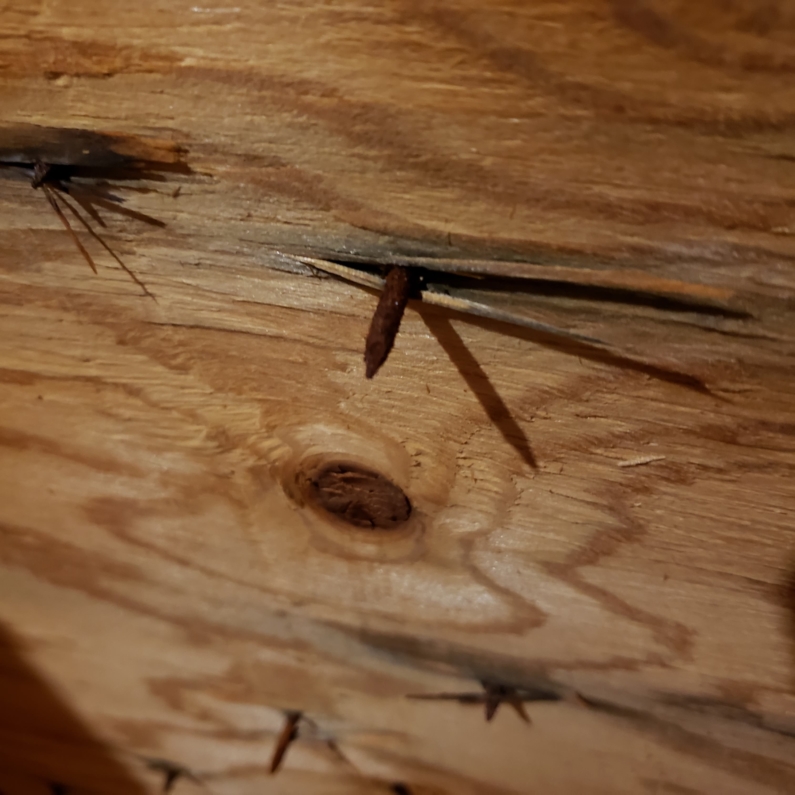 Why Proper Attic Insulation Is Crucial - The Green Cocoon